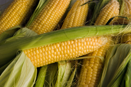Corn | The Seasonal Gourmet